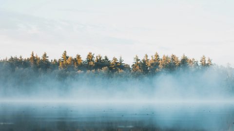 Aurora Car, Home, & Business Insurance - Get A Quote | D.G. Bevan